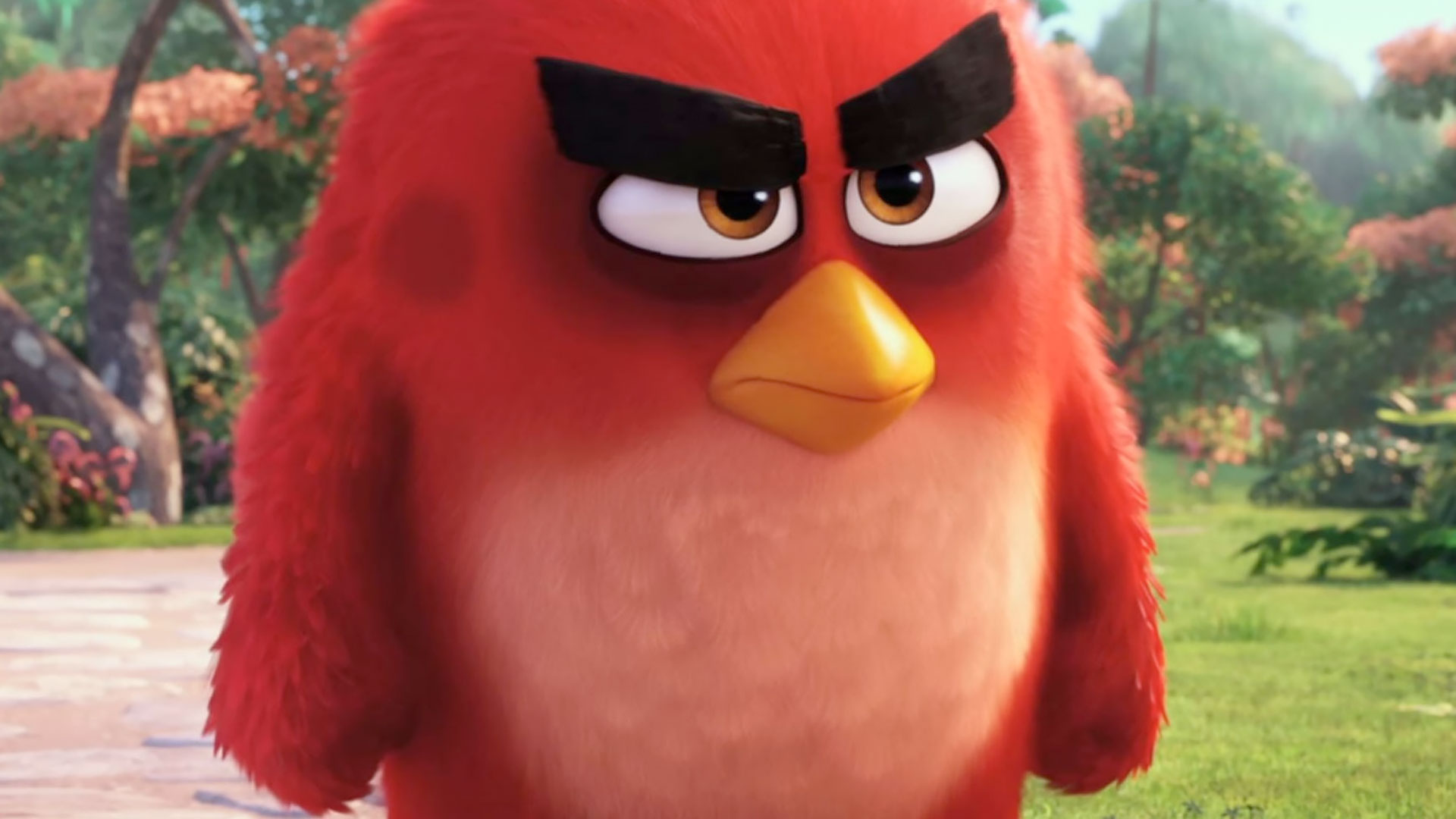 The Angry Birds Movie (2016) - After the Credits | MediaStinger